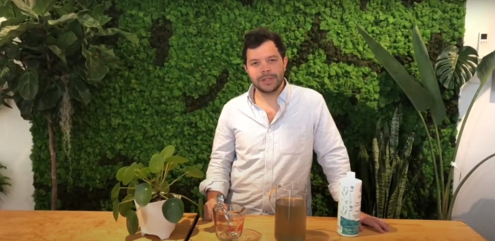 All-purpose Organic Soil Enhancer / Fertilizer / Plant food – MARPHYL ...